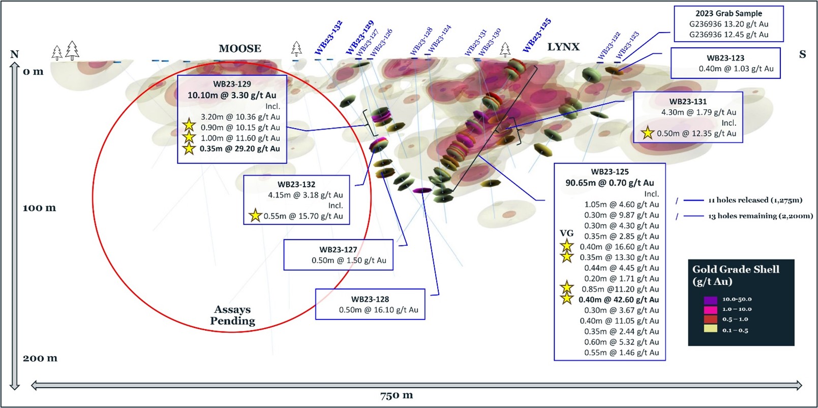 Puma Exploration (TSXV:PUMA) Reports Significant Gold Findings in ...