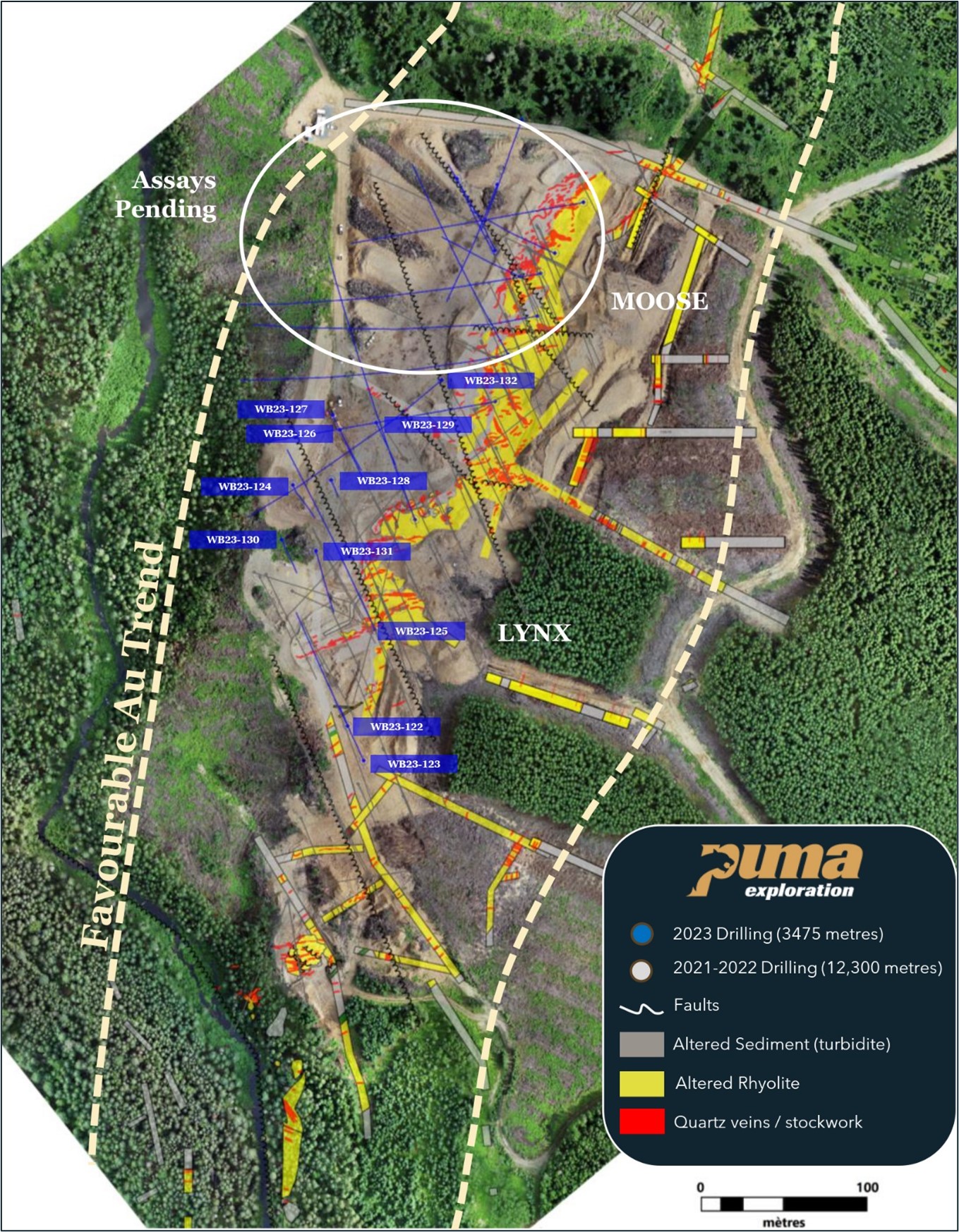 Puma Exploration (TSXV:PUMA) Reports Significant Gold Findings in ...